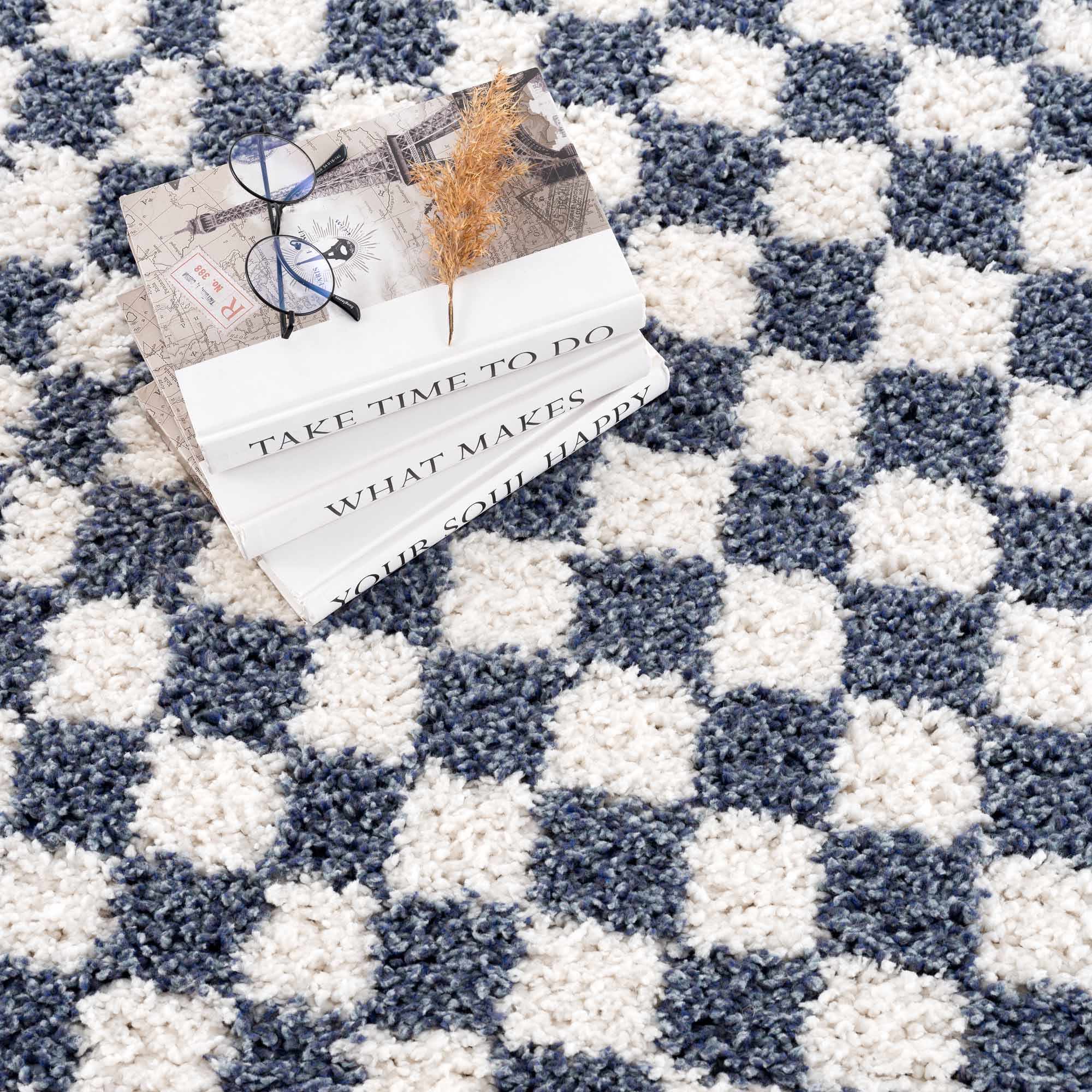 Kieu Blue & White Checkered Area Rug – Roy's Home
